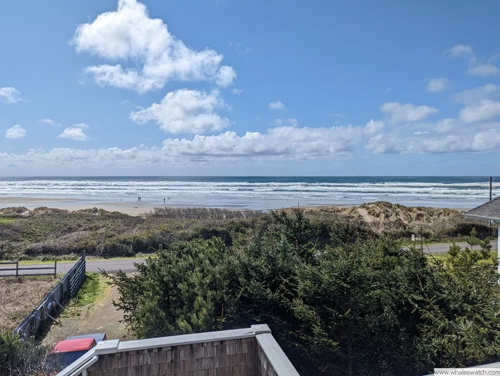 Lighthouse Lookout - Florence, OR | Beachcombers NW